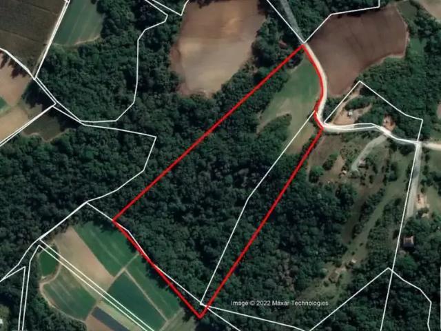 Sítio / Chácara para Venda em São José dos Pinhais/PR Colônia Malhada