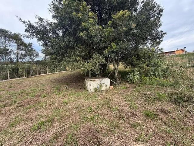 Sítio / Chácara para Venda em São José dos Pinhais/PR Colônia Mergulhão
