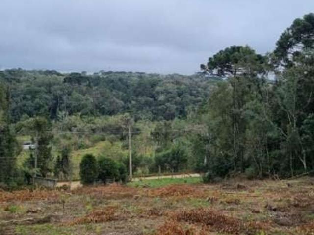 Sítio / Chácara para Venda em São José dos Pinhais/PR Colônia Mergulhão 2 Quartos