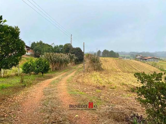 Sítio / Chácara para Venda em São José dos Pinhais/PR Colônia Mergulhão 3 Quartos