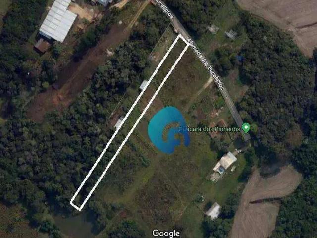 Sítio / Chácara para Venda em São José dos Pinhais/PR Costeira 1 Quartos