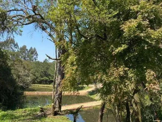 Sítio / Chácara para Venda em São José dos Pinhais/PR Cotia 4 Quartos