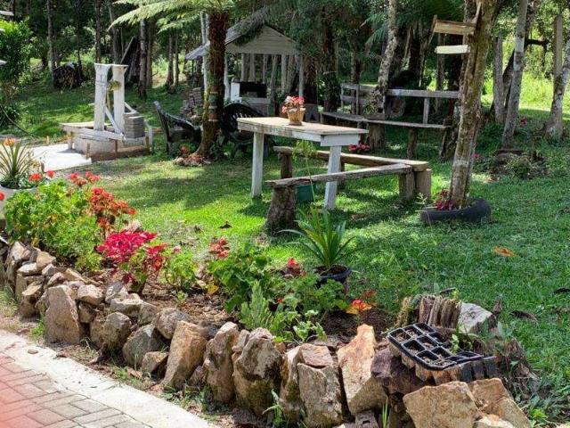Sítio / Chácara para Venda em São José dos Pinhais/PR Curralinho 2 Quartos