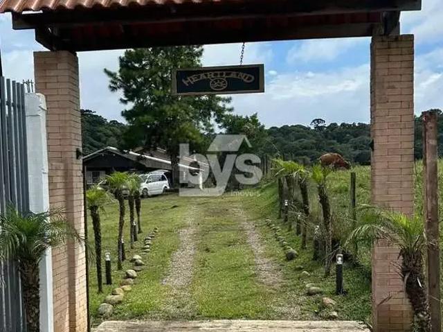 Sítio / Chácara para Venda em São José dos Pinhais/PR Curralinho