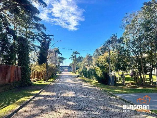 Sítio / Chácara para Venda em São José dos Pinhais/PR Dom Rodrigo 1 Quartos