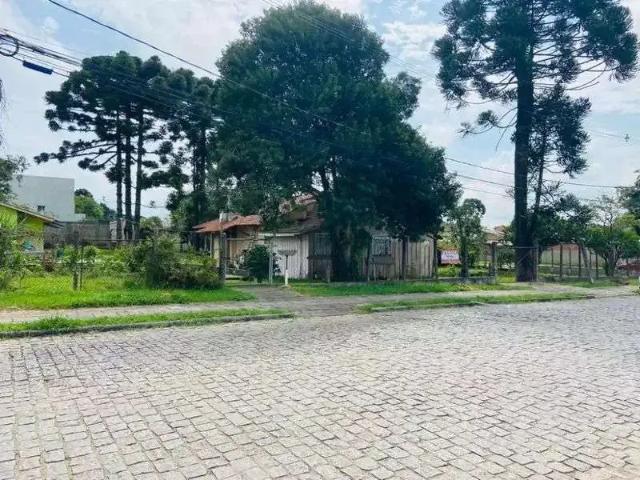 Sítio / Chácara para Venda em São José dos Pinhais/PR Guatupê