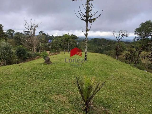 Sítio / Chácara para Venda em São José dos Pinhais/PR Ipê