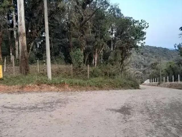 Sítio / Chácara para Venda em São José dos Pinhais/PR Ipê