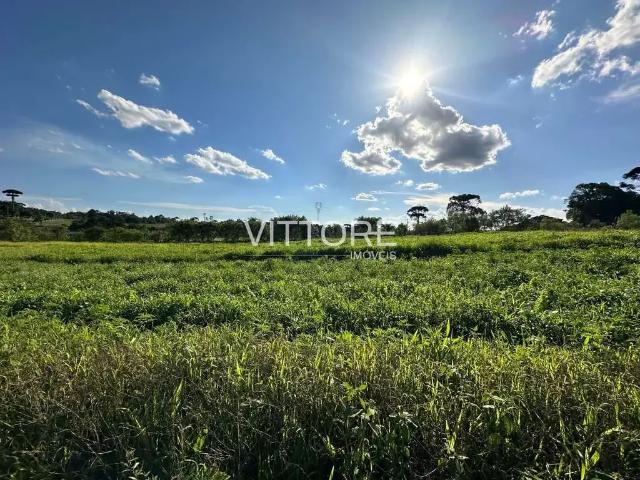 Sítio / Chácara para Venda em São José dos Pinhais/PR Miringuava
