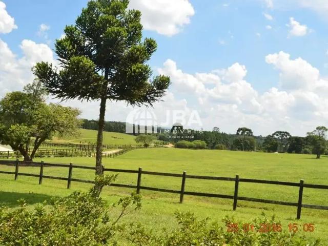 Sítio / Chácara para Venda em São José dos Pinhais/PR Miringuava 3 Quartos