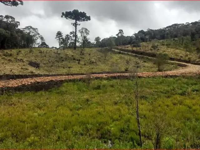 Sítio / Chácara para Venda em São José dos Pinhais/PR Papanduva da Serra