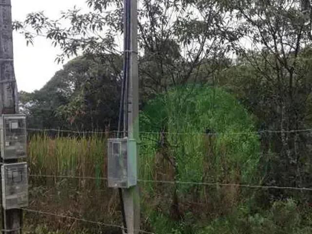 Sítio / Chácara para Venda em São José dos Pinhais/PR Parque da Fonte