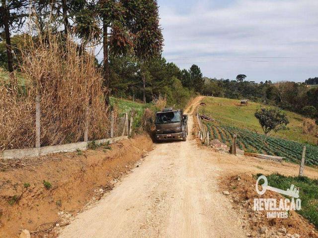 Sítio / Chácara para Venda em São José dos Pinhais/PR Roça Velha 1 Quartos