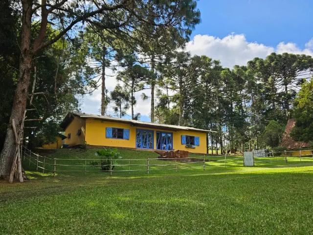 Sítio / Chácara para Venda em São José dos Pinhais/PR Roça Velha 3 Quartos
