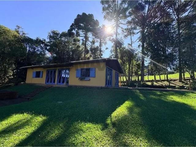 Sítio / Chácara para Venda em São José dos Pinhais/PR Roça Velha 6 Quartos