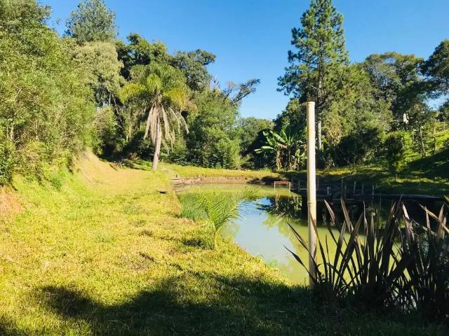 Sítio / Chácara para Venda em São José dos Pinhais/PR Roseira de São Sebastião 3 Quartos