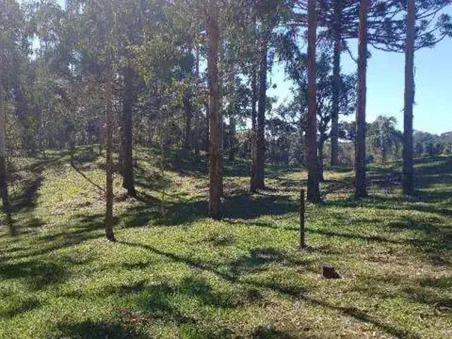 Sítio / Chácara para Venda em São José dos Pinhais/PR Roseira de São Sebastião