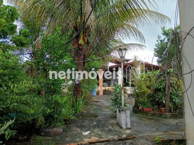Sítio / Chácara para Venda em São José da Lapa/MG Zona Rural 5 Quartos