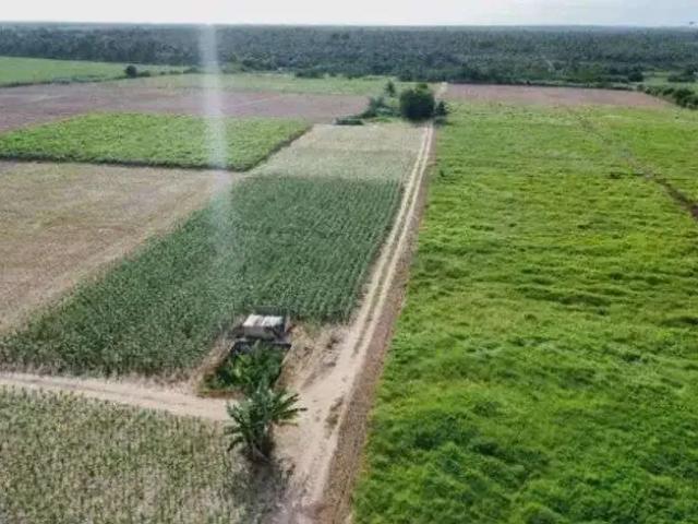 Sítio / Chácara para Venda em São José de Mipibu/RN Centro 3 Quartos