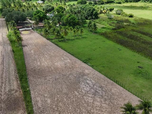Sítio / Chácara para Venda em São José de Mipibu/RN Zona Rural 4 Quartos