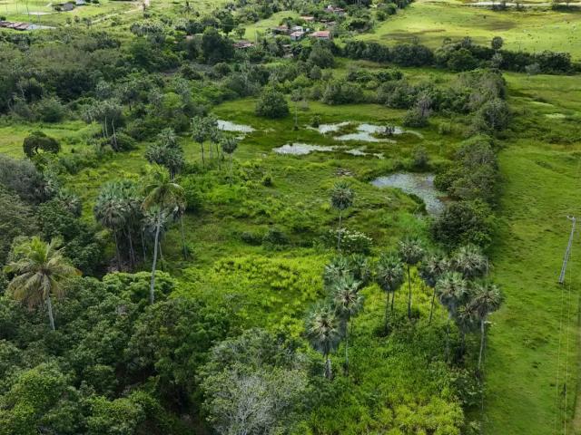 Sítio / Chácara para Venda em São José de Mipibu/RN Zona Rural 3 Quartos