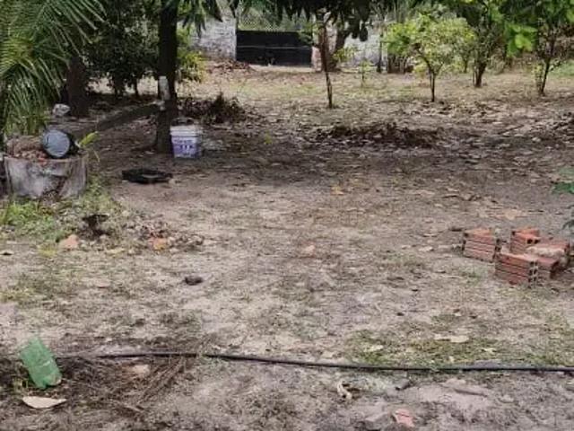 Sítio / Chácara para Venda em São José de Ribamar/MA Sítio do Apicum