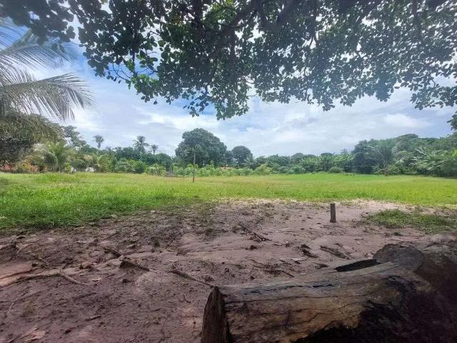 Sítio / Chácara para Venda em São José de Ribamar/MA Zona Rural 2 Quartos