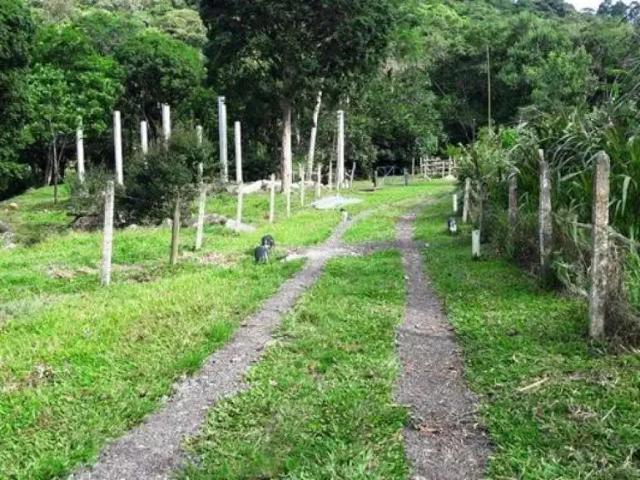 Sítio / Chácara para Venda em São José/SC Forquilhas 2 Quartos