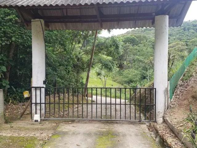 Sítio / Chácara para Venda em São José/SC Forquilhas