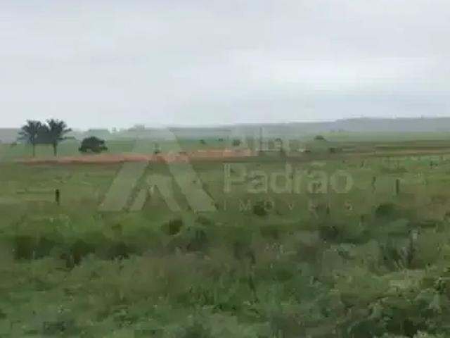 Sítio / Chácara para Venda em São Luís/MA Jaracaty 20 Quartos