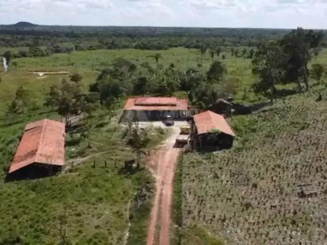 Sítio / Chácara para Venda em São Luís/MA Jaracaty