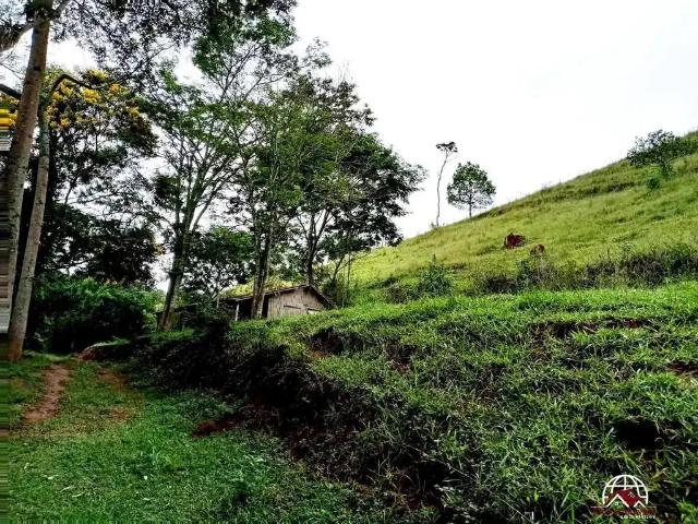 Sítio / Chácara para Venda em São Luiz do Paraitinga/SP Bairro das Perobas 3 Quartos