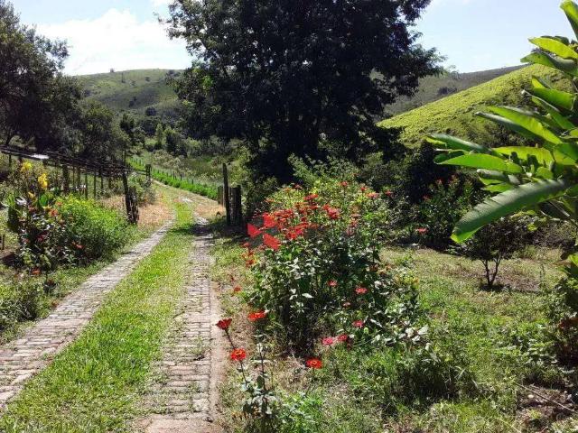 Sítio / Chácara para Venda em São Luiz do Paraitinga/SP Zona Rural 3 Quartos