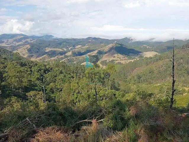 Sítio / Chácara para Venda em São Luiz do Paraitinga/SP Zona Rural