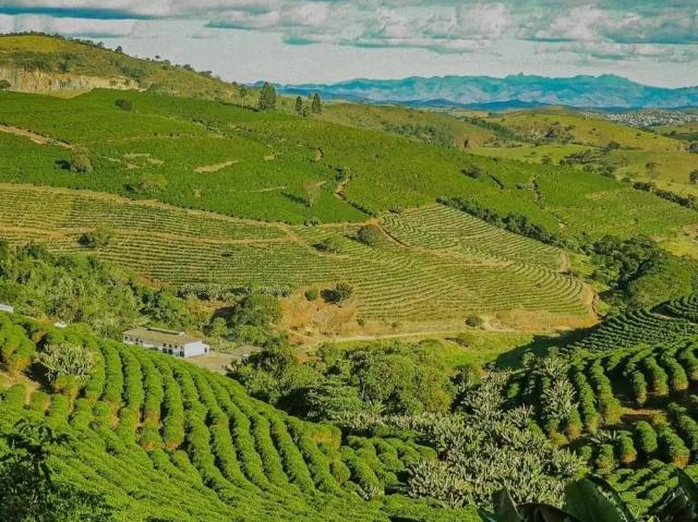 Sítio / Chácara para Venda em São Lourenço/MG Zona Rural