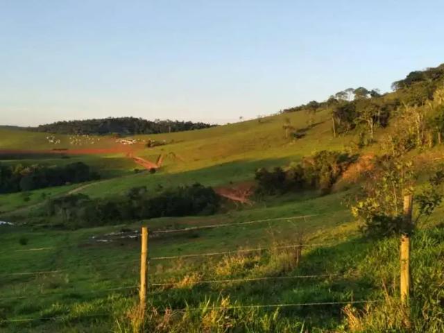 Sítio / Chácara para Venda em São Lourenço/MG Zona Rural 2 Quartos