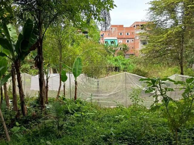 Sítio / Chácara para Venda em São Paulo/SP Cidade Ipava 1 Quartos