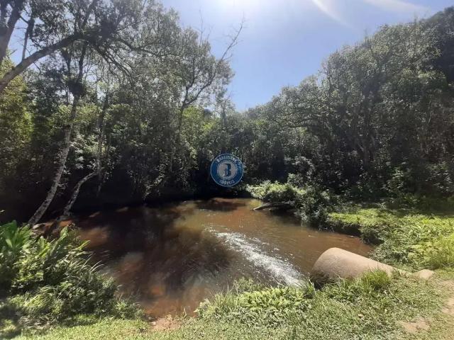Sítio / Chácara para Venda em São Paulo/SP Cipó do Meio