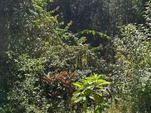 Sítio / Chácara para Venda em São Paulo/SP Engenheiro Marsilac 3 Quartos