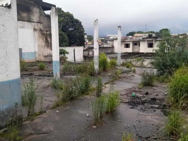 Sítio / Chácara para Venda em São Paulo/SP Itaim Paulista