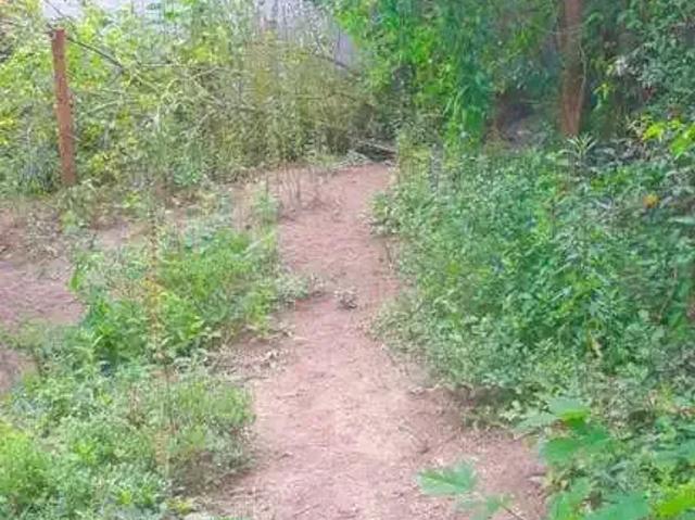 Sítio / Chácara para Venda em São Paulo/SP Jardim Almeida