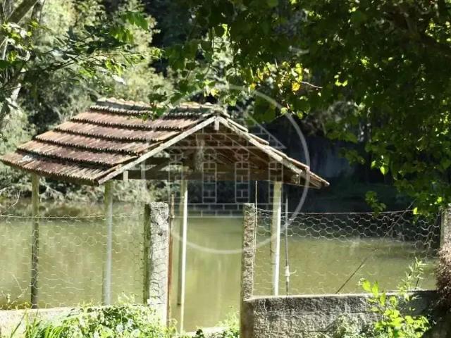 Sítio / Chácara para Venda em São Paulo/SP Jardim Santa Tereza 5 Quartos
