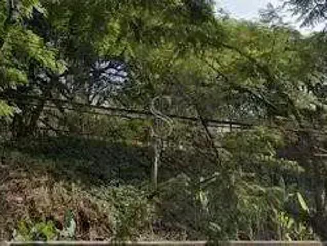 Sítio / Chácara para Venda em São Paulo/SP Morumbi