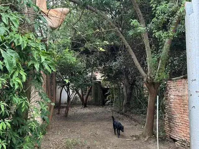 Sítio / Chácara para Venda em São Paulo/SP Pompéia