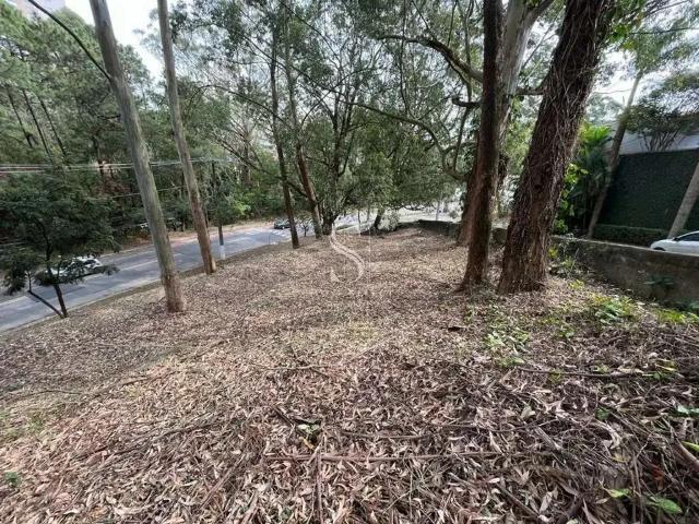 Sítio / Chácara para Venda em São Paulo/SP Parque dos Príncipes