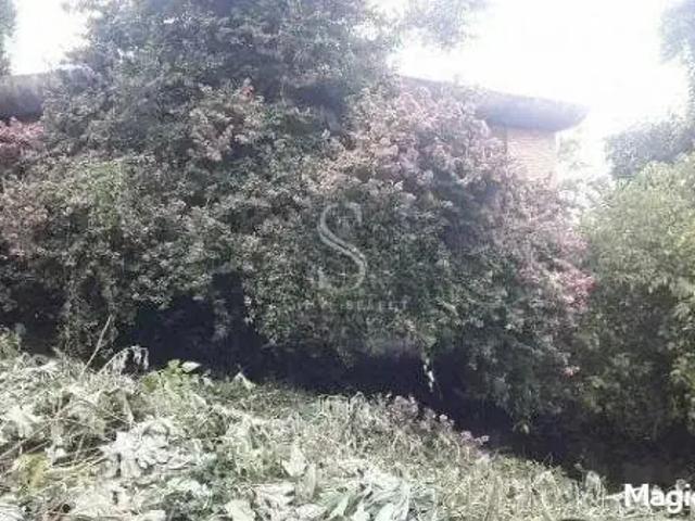 Sítio / Chácara para Venda em São Paulo/SP Vila Morumbi