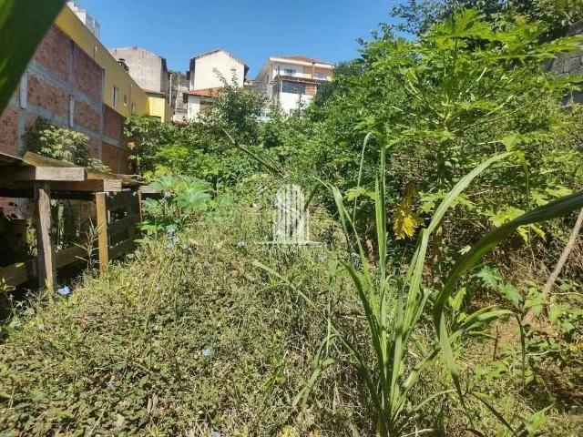 Sítio / Chácara para Venda em São Paulo/SP Vila Sônia