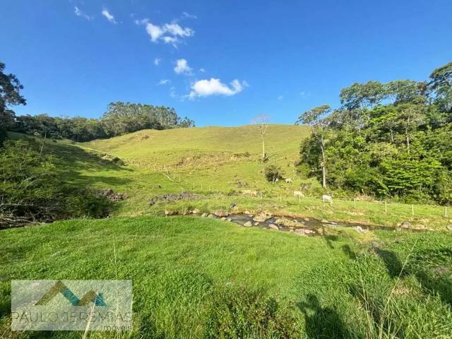 Sítio / Chácara para Venda em São Pedro de Alcântara/SC Alto Varginha
