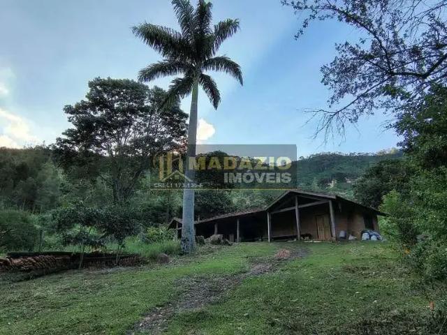 Sítio / Chácara para Venda em São Pedro/SP Capim Fino 1 Quartos