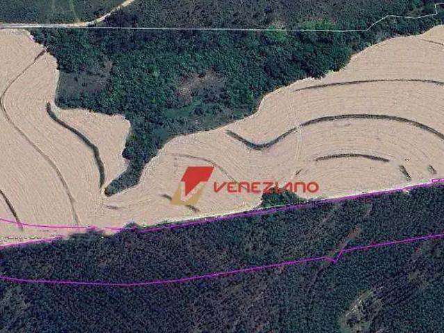 Sítio / Chácara para Venda em São Pedro/SP Águas de São Pedro